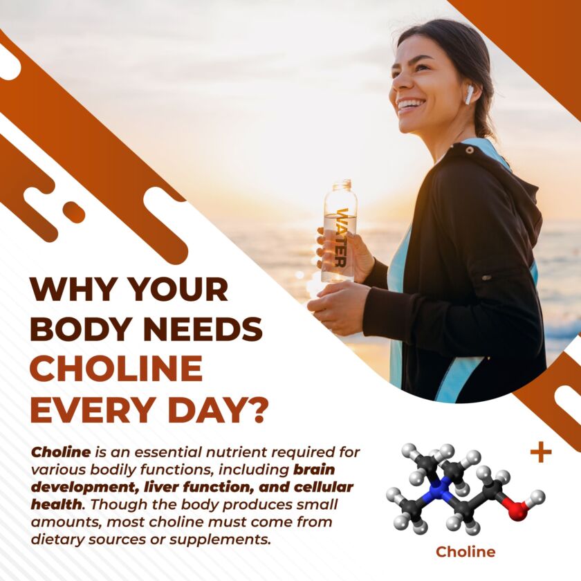 Choline with DHA, Inositol, Vitamin B12, Coenzyme Q10, NAC, Magnesium ...